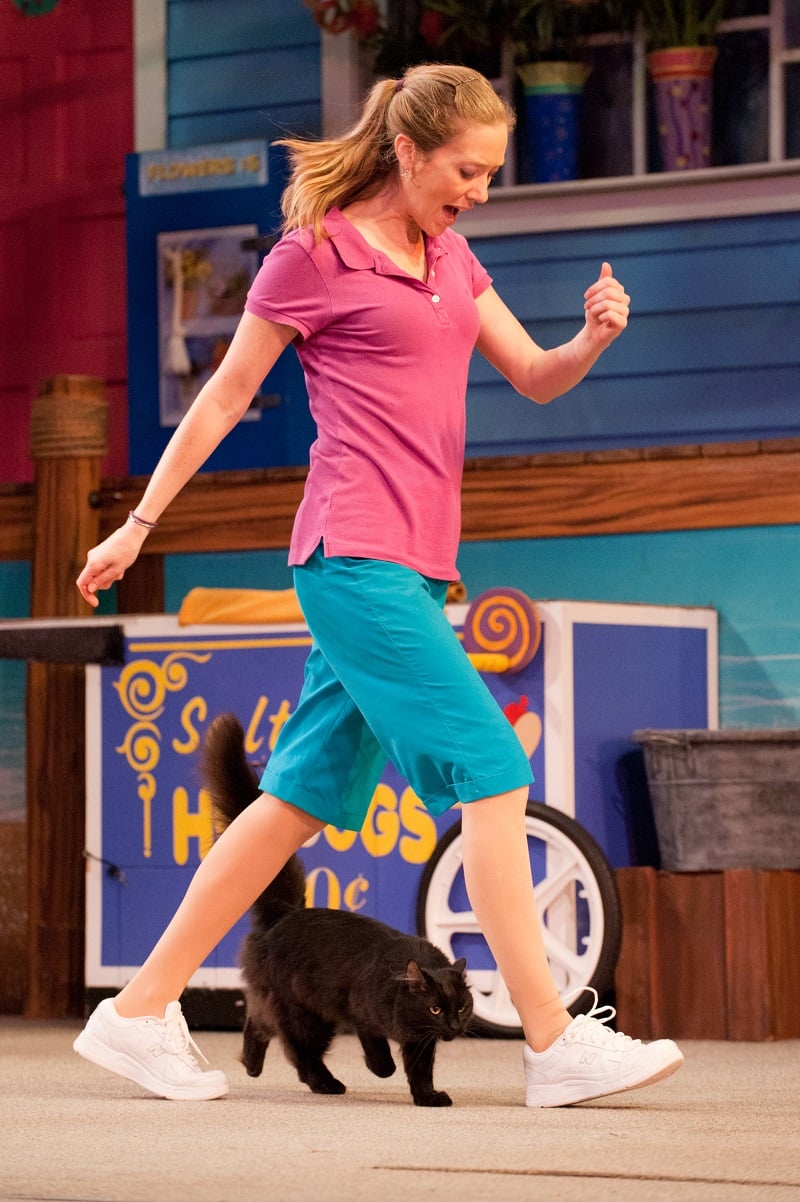 8 Heart-Warming Facts About SeaWorld’s Pets Ahoy! Show