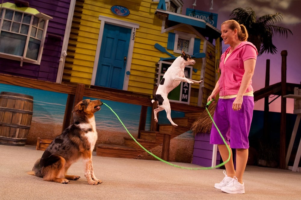 8 Heart-Warming Facts About SeaWorld’s Pets Ahoy! Show