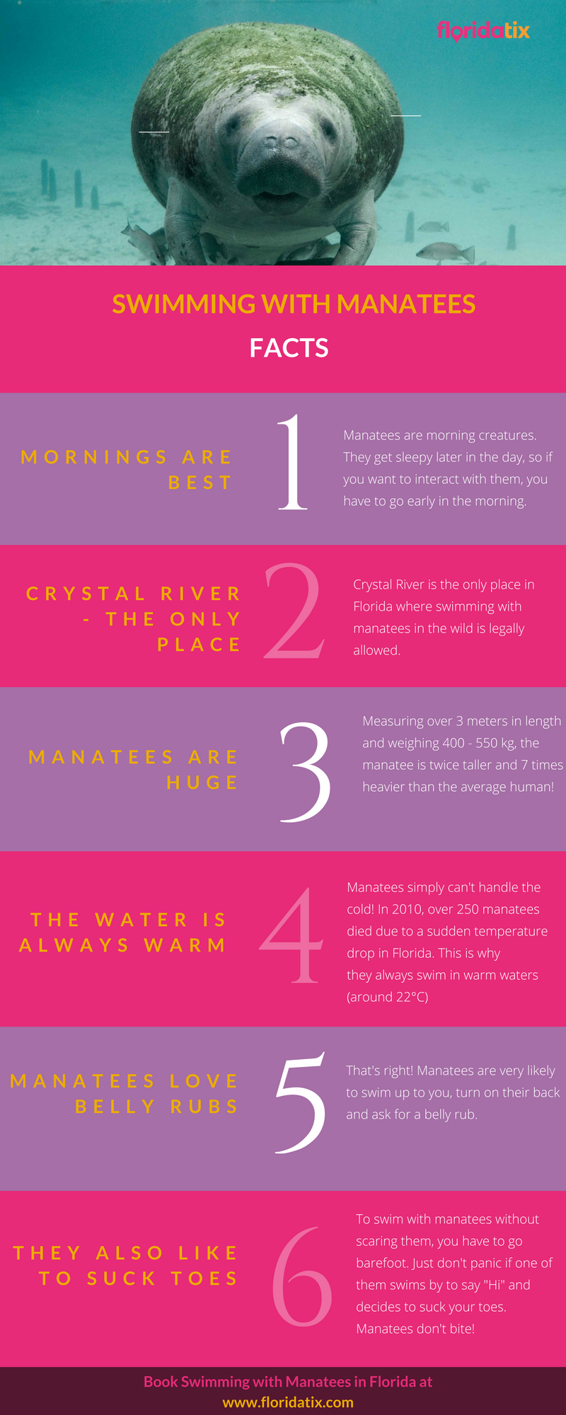 6 Facts you need to know about Swimming with Manatees in Florida ...