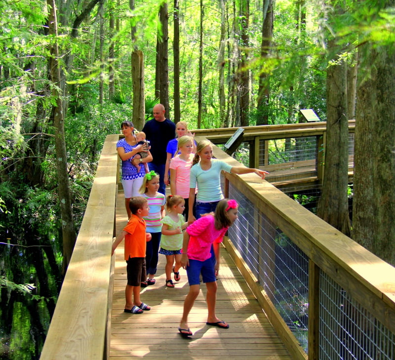 6 Things To Know When You Visit Wild Florida with Kids - FloridaTix