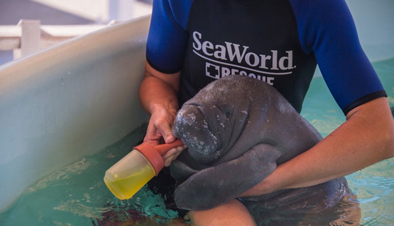 SeaWorld Orlando Rescue Tour - FloridaTix