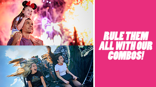 Disney's Hollywood Studios Guide